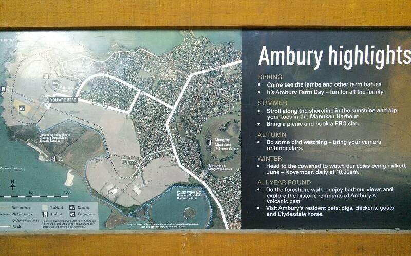 Ambury Regional Park | Freedom/Basic Camp | New Zealand